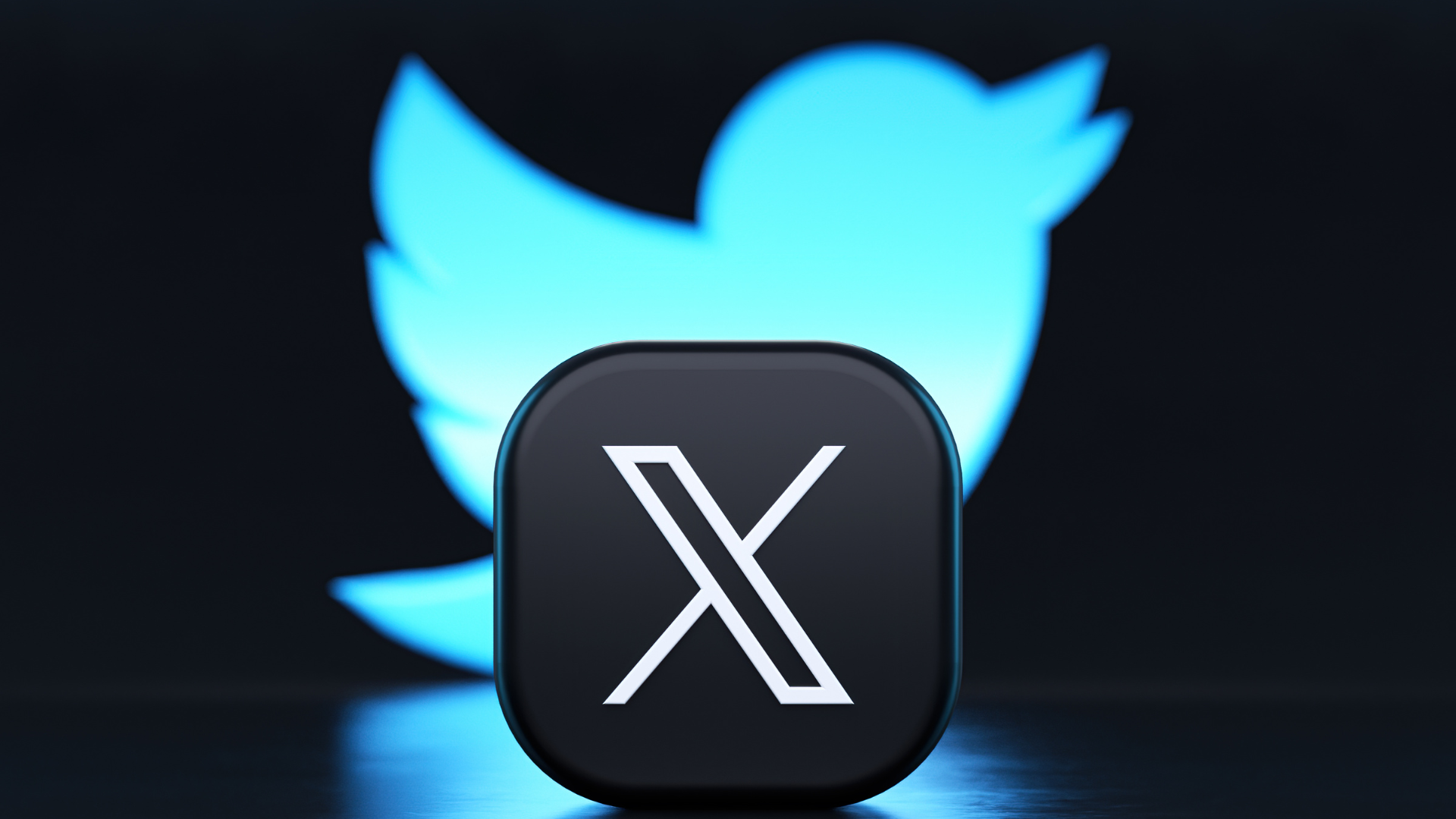 X The Evolution of Twitter & Future of Social Media